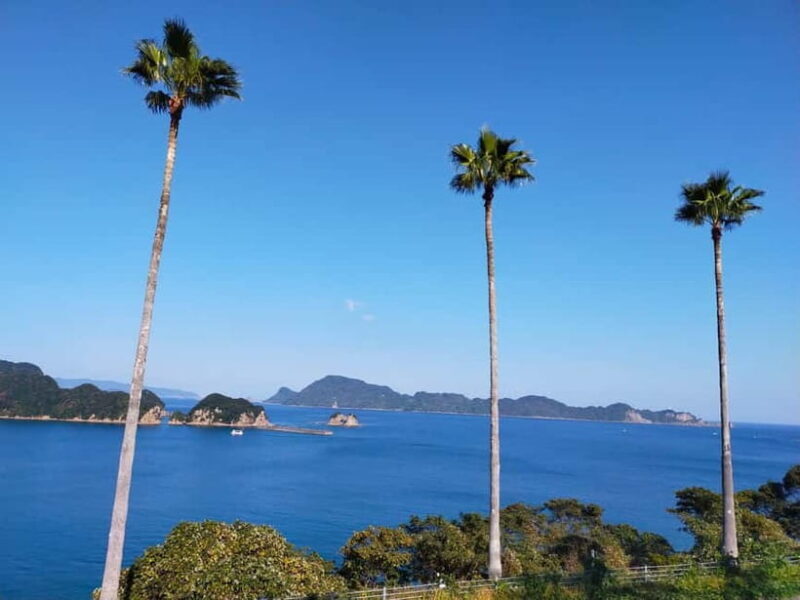 Miyazaki: Surfing & SUP Lesson with Equipment Rental - Why the Experience Works for Travelers