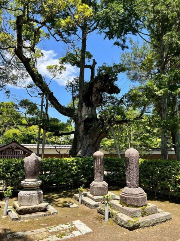 Miyazu: Culinary and Crafts Experience with Tea Ceremony - The Sum Up: A Truly Authentic Japanese Cultural Day