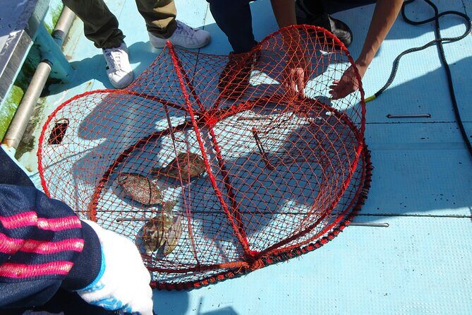 Mizuhashi Fishing Port Tokyo City Sightseeing - An In-Depth Look at Mizuhashi Port Fishing Tour