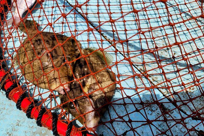 Mizuhashi Fishing Port Tokyo City Sightseeing - Practical Considerations