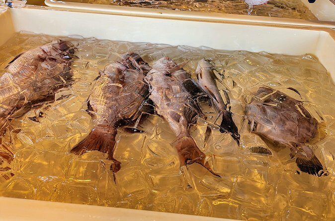 Mizuhashi Fishing Port Tokyo City Sightseeing - Who Should Book This Tour?