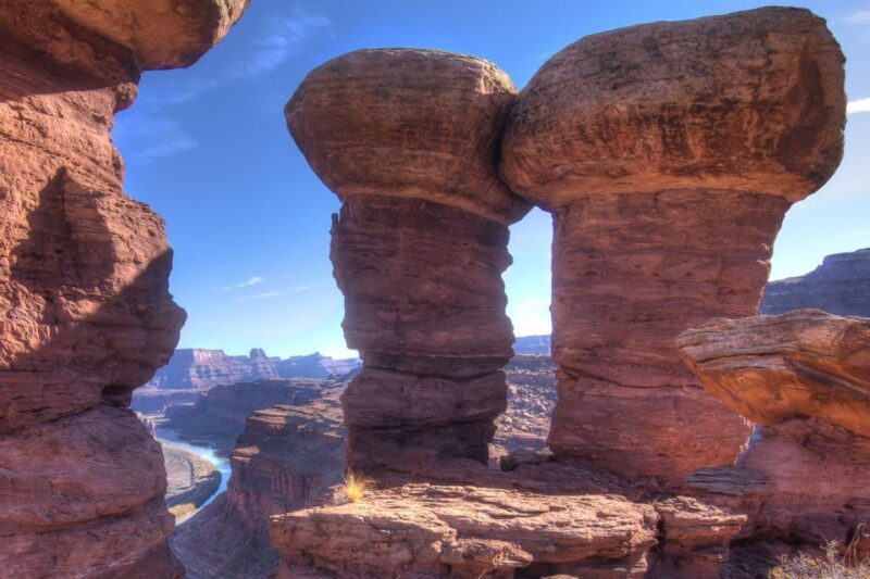 Moab: Canyonlands National Park 4x4 White Rim Tour - What the Reviews Say
