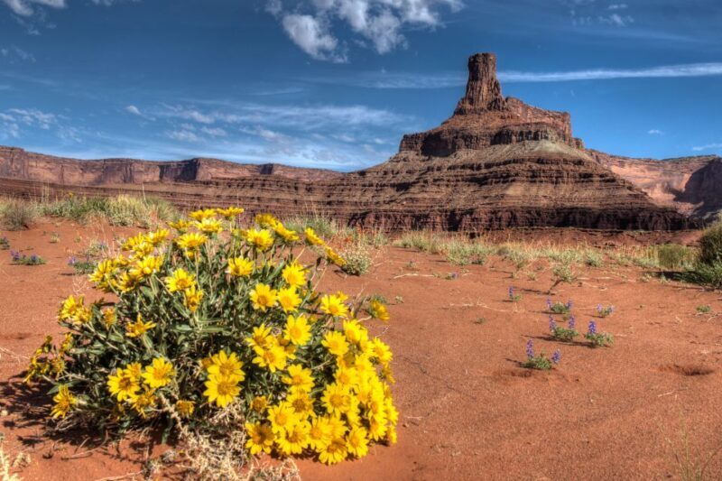 Moab: Canyonlands National Park 4x4 White Rim Tour - Who Should Consider This Tour?