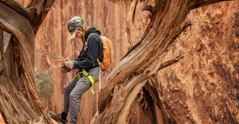 Moab: Fins and Things Canyoneering Adventure tour - What Makes This Tour Special?