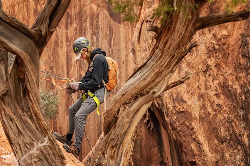 Moab: Fins and Things Canyoneering Adventure tour - The Value of the Experience