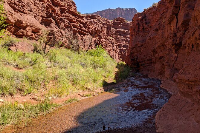 Moab's Slot Canyon Hike: Refreshingly Cool Summer Creek Adventure - An In-Depth Review of the Moab Slot Canyon Hike