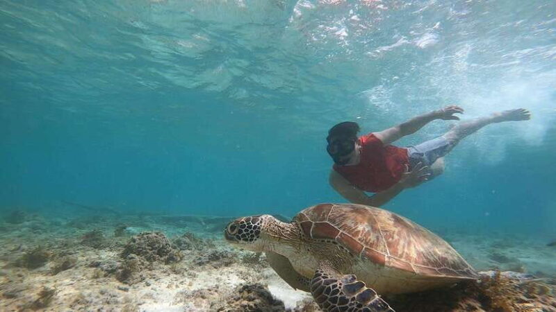 Moalboal: Island Hopping and Mantayupan Falls Day Trip - Final Thoughts: Is This Tour Right for You?
