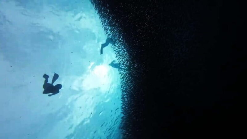 Moalboal: Pescador Island Hopping & Kawasan Canyoneering - An In-Depth Look at Your Moalboal Adventure