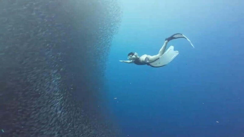 Moalboal: Pescador Island & Mantayupan Falls Adventure! - Who Will This Tour Suit Best?