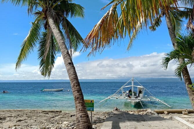 Moalboal Sardine Run, Sea Turtle and Mantayupan Falls - Final Thoughts