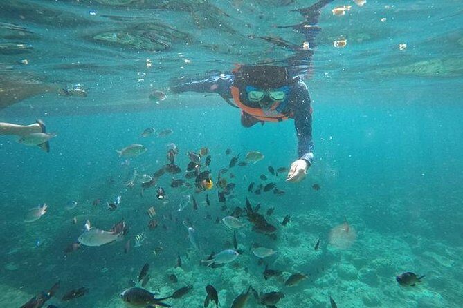 Moalboal Sardines & Turtle Snorkeling and Kawasan Canyoneering - Why This Tour Offers Great Value