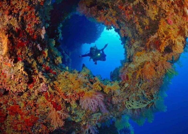 Moalboal: Scuba Diving and Pescador Island Hopping - Additional Practicalities