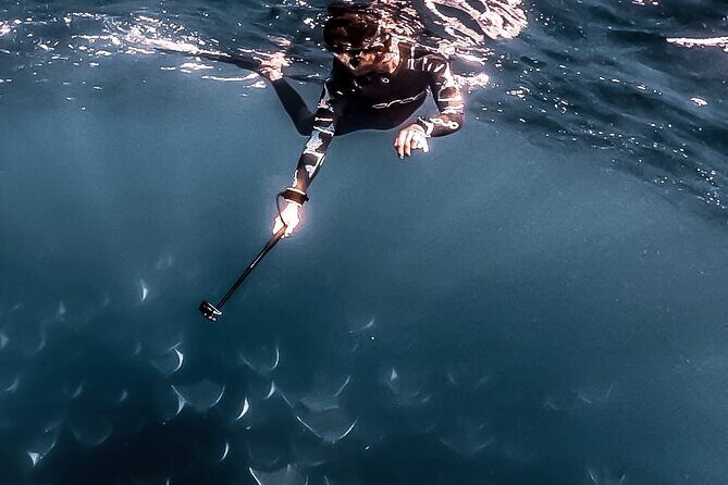 Mobula Ray Snorkeling with Photos Included - An In-Depth Look at the Mobula Ray Snorkeling Tour