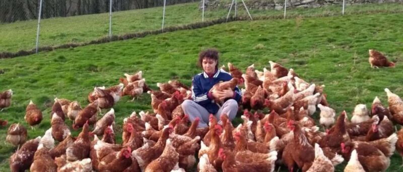 Moca: Farm Tour with Animal Feeding and Egg Collecting - An In-Depth Look at the Moca Farm Tour