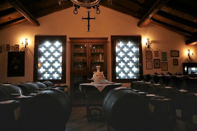 Modena area: Balsamic Vinegar Aceto Tasting Experience - Key Points: