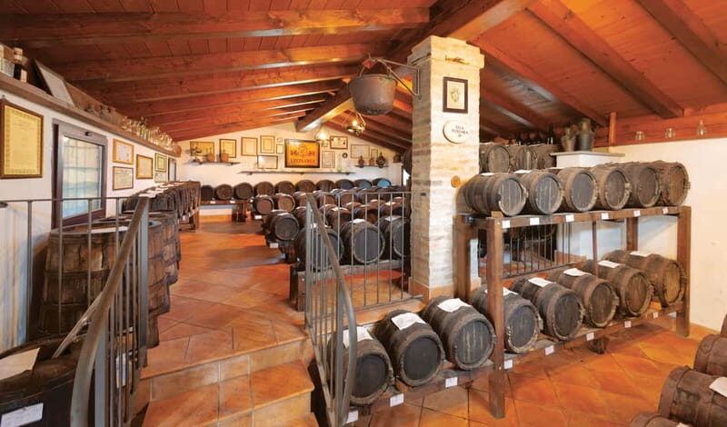 MODENA: BALSAMIC VINEGAR TOUR AND TASTING - Exploring the Balsamic Experience: What to Expect