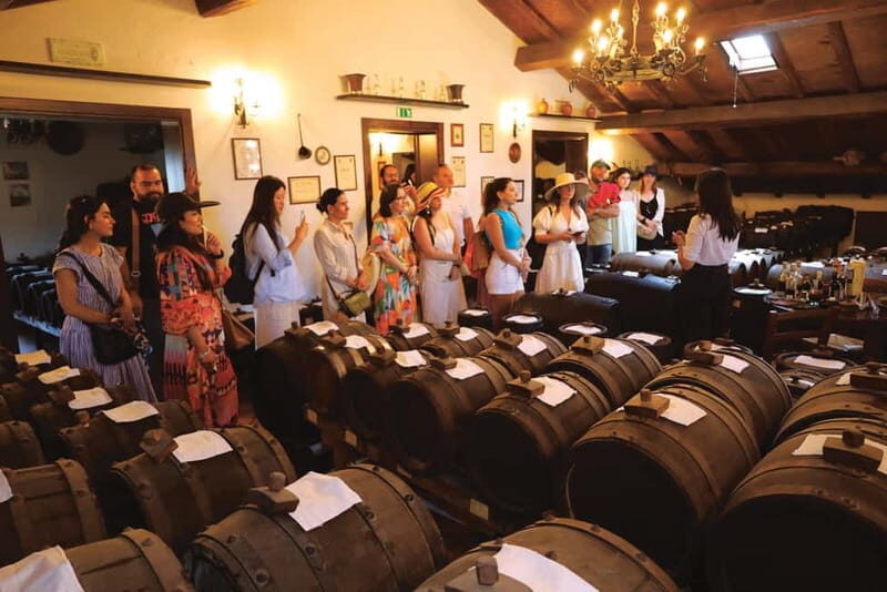MODENA: BALSAMIC VINEGAR TOUR AND TASTING - TYPICAL - The Tasting Experience: A Sensory Journey