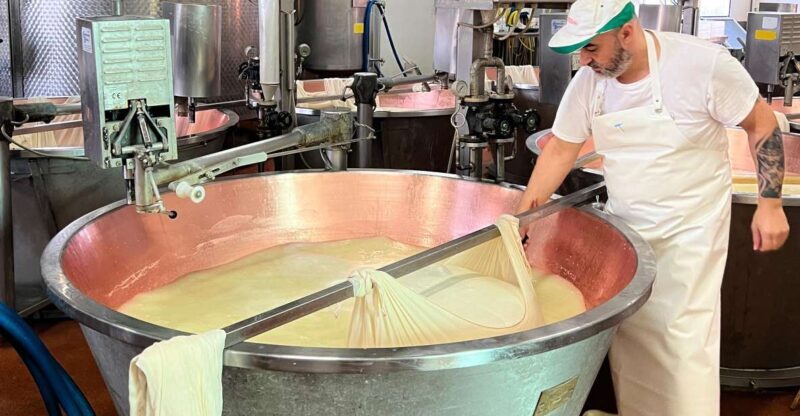 Modena/Bologna: Ferrari, Lambo, Cheese, Vinegar Tour w/Lunch - An In-Depth Look at the Tour Experience