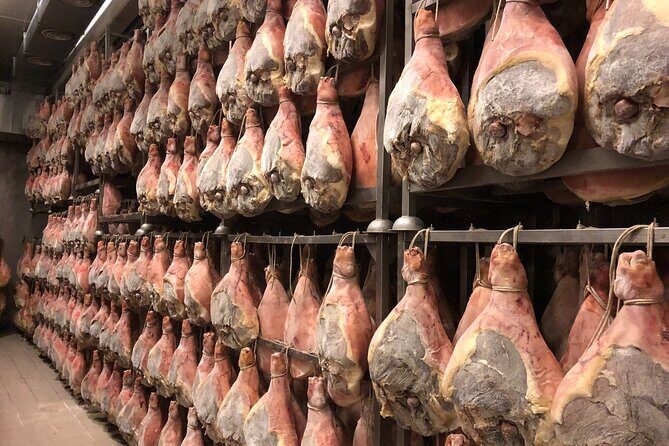 Modena Food:Prosciutto,Parmigiano,Balsamic,Wine,Lunch,Transport - Key Points