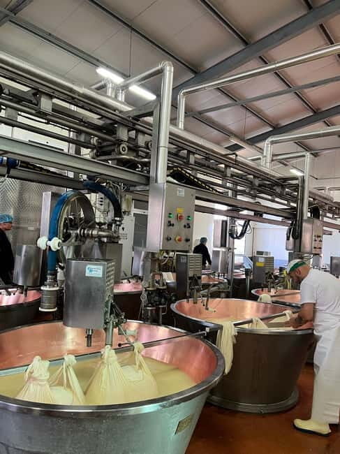 Modena: Parmesan, Balsamic Vinegar, Wine Tour + Lunch - The Cheese Factory: Parmigiano Reggiano