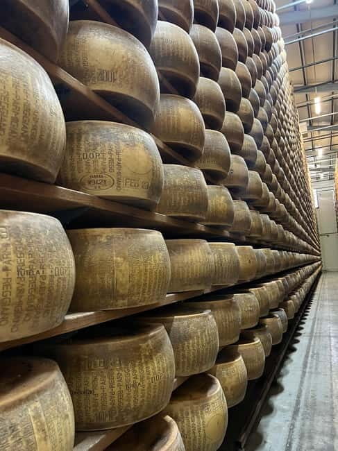 Modena: Parmesan, Balsamic Vinegar, Wine Tour + Lunch - Wine Tasting at a Local Winery