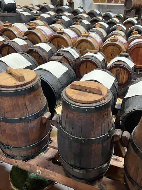 Modena: Parmesan, Balsamic Vinegar, Wine Tour + Lunch - Return Journey and Drop-Off