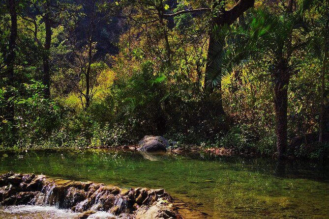 Moderate Himalayan Treks Near Rishikesh From Delhi - Key Points