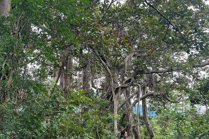 Moderate Himalayan Treks Near Rishikesh From Delhi - The Value Proposition