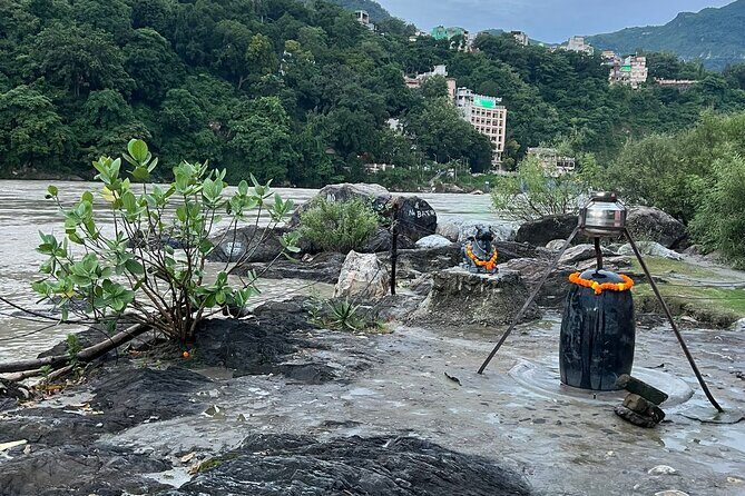 Moderate Himalayan Treks Near Rishikesh From Delhi - The Sum Up: Who Will Love This Tour?