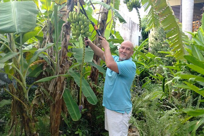 Modern Puerto Rican Cooking Class in a Historic San Germán Home - Who Will Love This Experience?