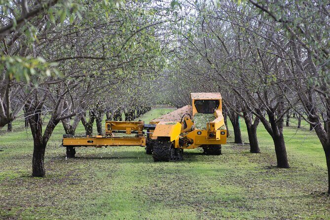 Modesto Discovery Agri-History and Cultural Highlights Audio Tour - Final Thoughts: Who Should Book This Tour?