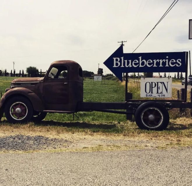Modesto: Fruits and Roots Tour Driving Audio Guide Tour - The Strengths: What Travelers Love