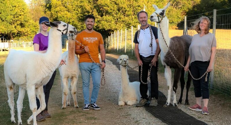 Mödling/Vienna: Scenic Guided Hike with Alpacas and Llamas - FAQs
