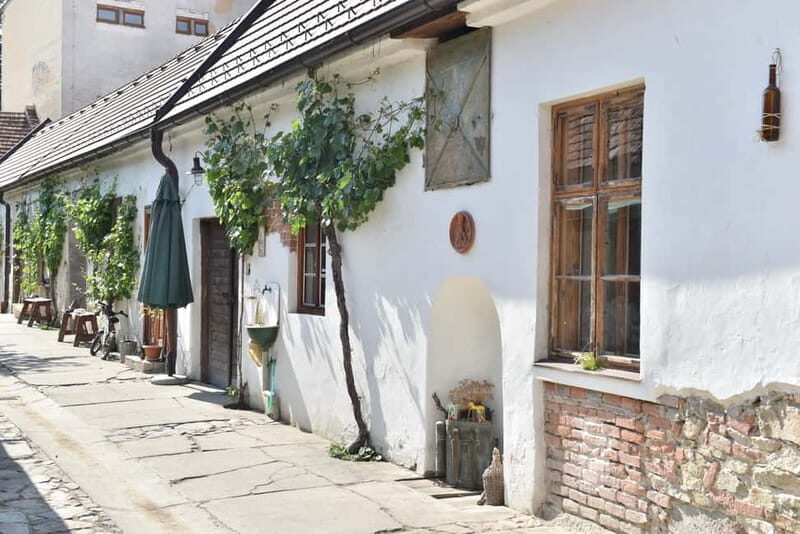 Modra: Private wine tasting guided by winery owner - Accessibility and Practical Aspects