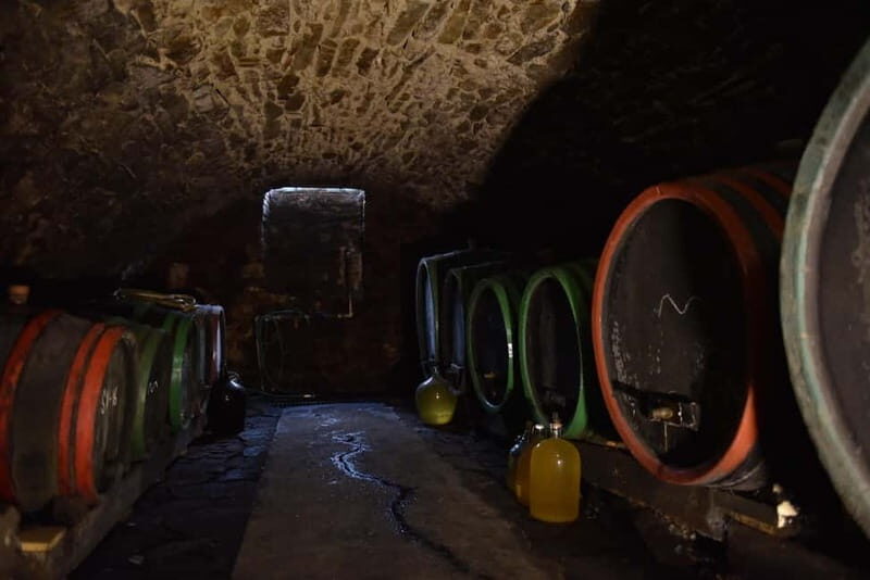 Modra: Private wine tasting guided by winery owner - Why This Tour Offers Great Value