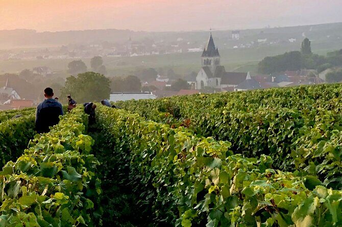 Moet et Chandon Pommery Pressoria Champagne Private trip - Final Thoughts