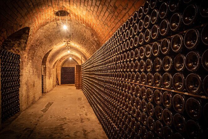 Moet et Chandon Tasting and Fun Private Tour in Champagne - Final Thoughts