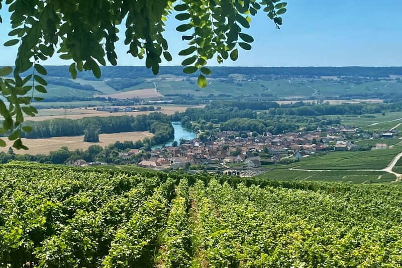 Moet et Chandon Veuve Clicquot Pommery Private Champagn Trip - Key Points