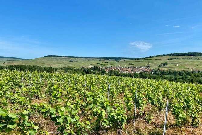 Moet et Chandon Veuve Clicquot Private Champagne trip from Paris - Who Would Love This Tour?