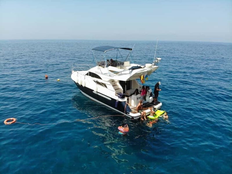 Mogan: Dolphin Watching Boat Trip with Swim Stop - The Itinerary: What You Can Expect on This 4-Hour Journey