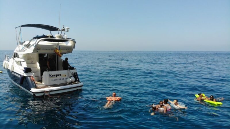 Mogan: Dolphin Watching Boat Trip with Swim Stop - Final Thoughts