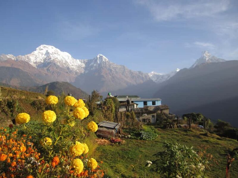 Mohare Danda - Ghorepani - Poon Hill Trek - 7 Days - Introduction to the Mohare Danda Trek