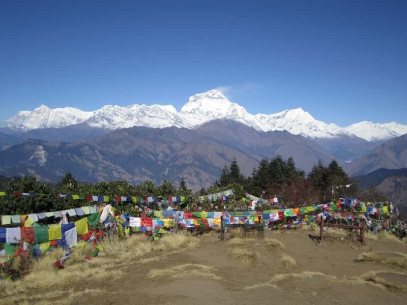 Mohare Danda - Ghorepani - Poon Hill Trek - 7 Days - The Sum Up