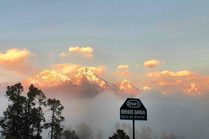 Mohare Danda Trek - An In-Depth Look at the Mohare Danda Trek