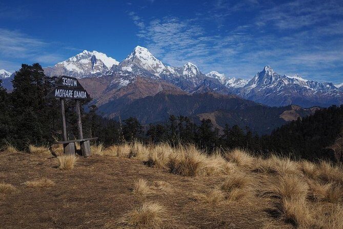 Mohare Hill Private Guided Trek - What Is the Mohare Hill Trek? An Authentic Nepalese Experience