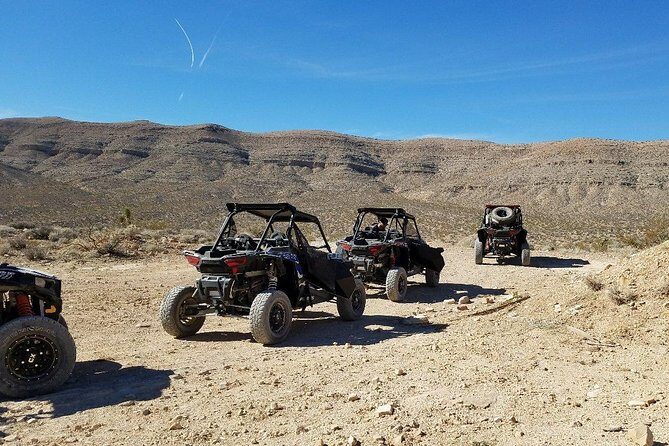 Mojave Desert Off Road RZR Tour in Las Vegas - Final Thoughts on Who This Tour Is For