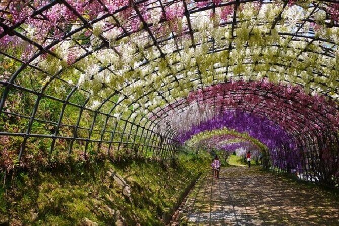 Mojiko Retro, Kawachi Wisteria and Shiranoe Gardens Tour YokaBus - Frequently Asked Questions