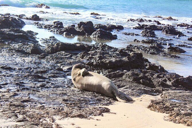 Mokulua Islands Self-Guided Kayak Adventure - Why This Tour Offers Great Value