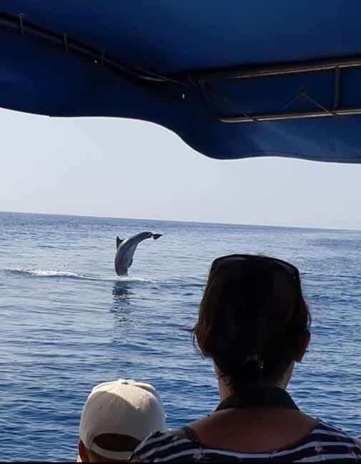 Molat Island Dolphin Watching Boat Tour 6hours TOUR - Lunch and Drinks