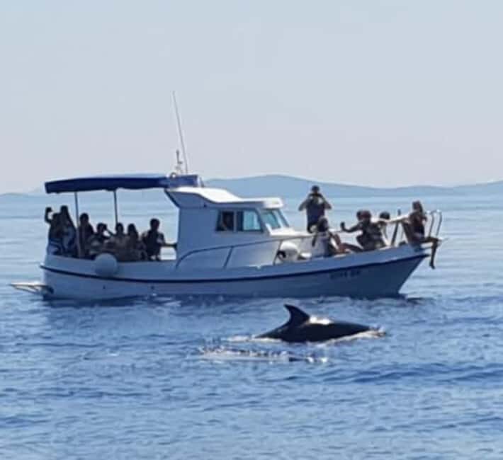 Molat Island Dolphin Watching Boat Tour 6hours TOUR - Weather and Cancellation Notes